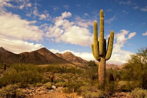 geography | English Echo