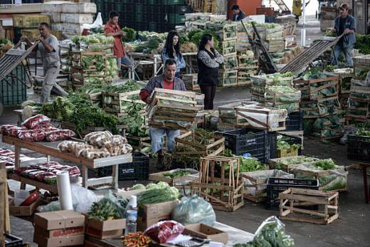 Farming and Food Distribution Pictures | English Echo