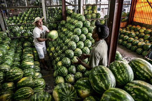 Farming and Food Distribution Pictures | English Echo