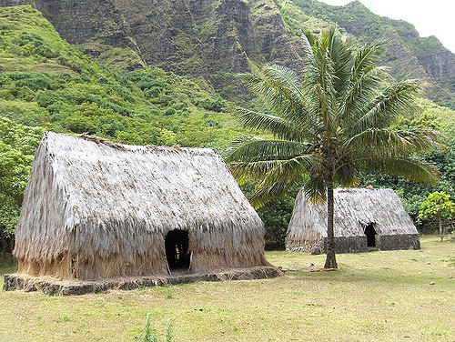 Traditional Houses 1 Pictures | English Echo