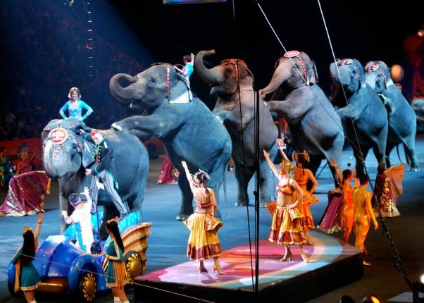arts and entertainment | English Echo